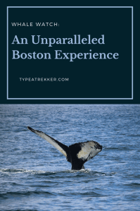 Whale Watch: An Unparalleled Boston Experience – Type A Trekker